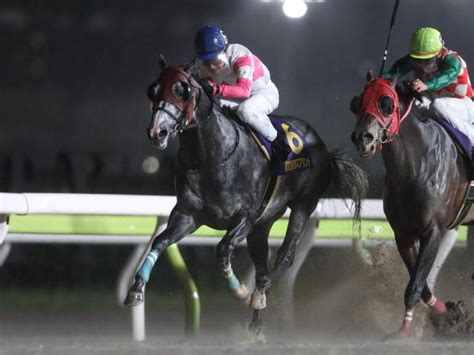 【カペラs前日オッズ】リュウノユキナが47倍で1番人気 競馬ニュース Netkeiba