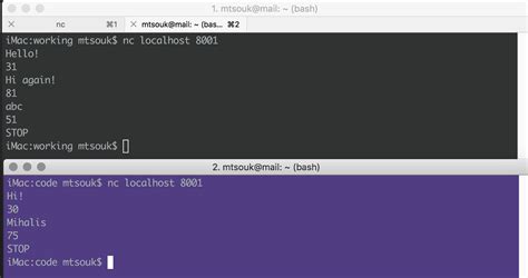 在 Go 中实现一个支持并发的 Tcp 服务端 Linuxstory