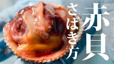 赤貝のさばき方 刺身用 Youtube