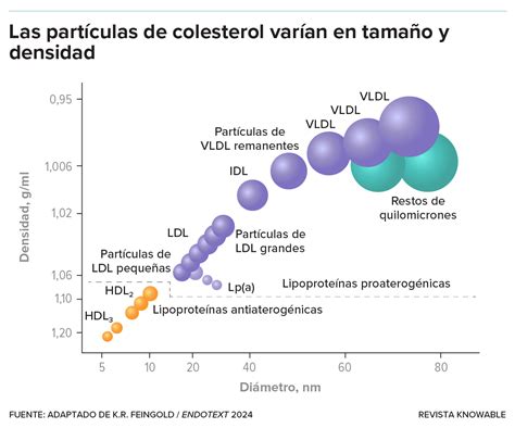 Diagrama De Trigliceridos Simple