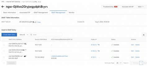 Configure VMs To Access The Internet By Using SNAT Alibaba Cloud Documentation Center