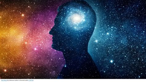 Spring 2025 Psychology Of Mind And Body
