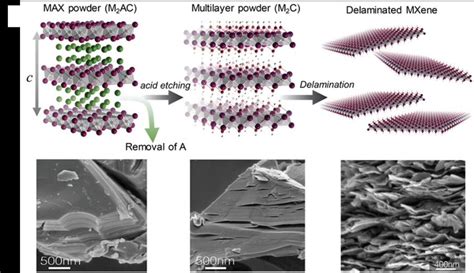 Typical Synthesis Of Mxene From Max Phase Via Selective Etching Method Download Scientific
