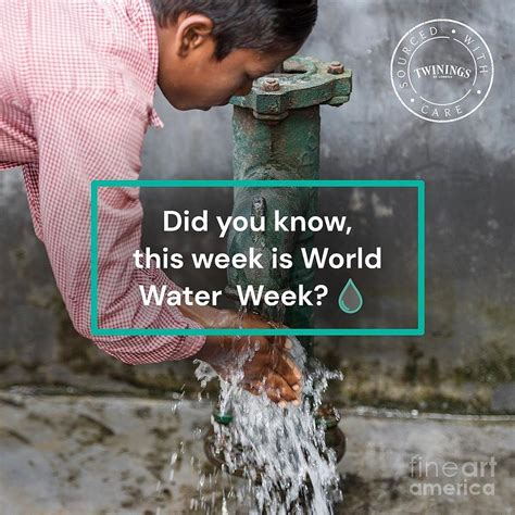 Twinings Uk Photograph By Kurt Brown Pixels