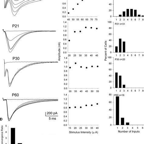 Patterns Of Excitatory Retinal Convergence Onto Dlgn Neurons A B Download Scientific Diagram