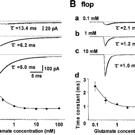 Dependence Of Desensitization Time Constant On Agonist Concentrations
