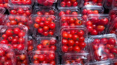 Experiment Test The Effect Of Temperature On Reaction Time