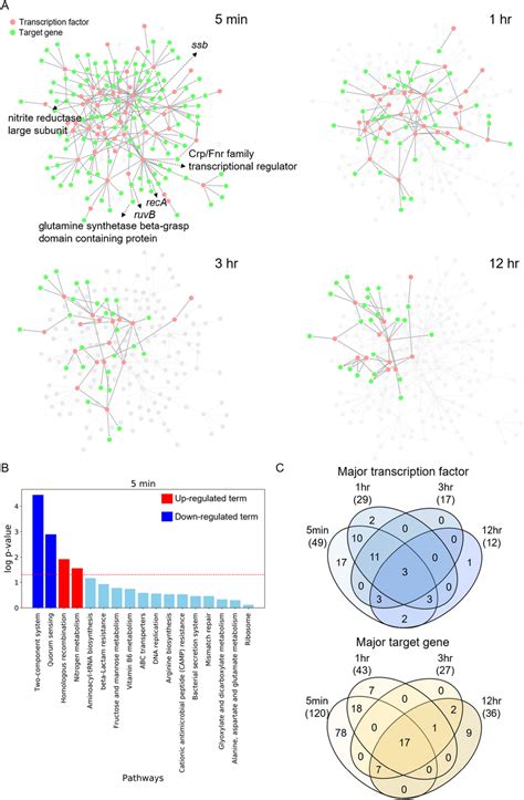 Transcriptional Network Module Analysis A Perturbation Of