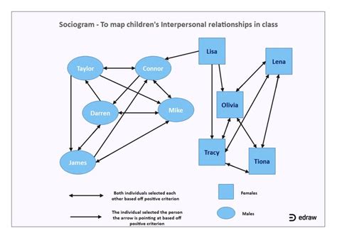 Sociogram For Patterns Of Organization Edrawmax Editable Template