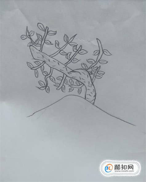 桂花树简笔画怎么画 简单 儿童画 第2页 大山谷图库