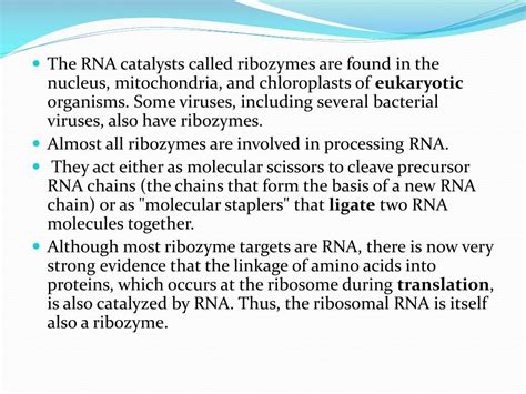 Ppt Ribozymes Powerpoint Presentation Free Download Id2778297