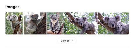 Yahoo Search Api Documentation