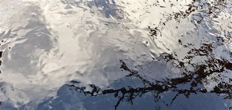 얼음물에 반사 구름이 있는 나무와 푸른 하늘의 광학 왜곡 배경에 대한 겨울 분위기 선택적 초점 0명에 대한 스톡 사진 및 기타 이미지 Istock