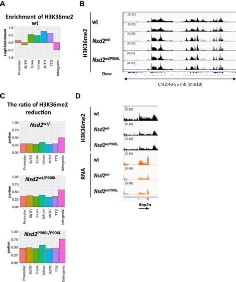Loss Of Function In Nsd2 Causes Dna Methylation Signature Similar To