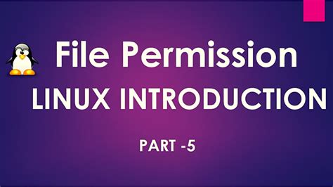 File Permission Basic Command In Linux Devops Basic Part 8 Techie
