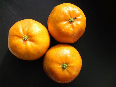 Мандарин Плоды Витамины Цитрусовые Бесплатное фото на Pixabay Pixabay