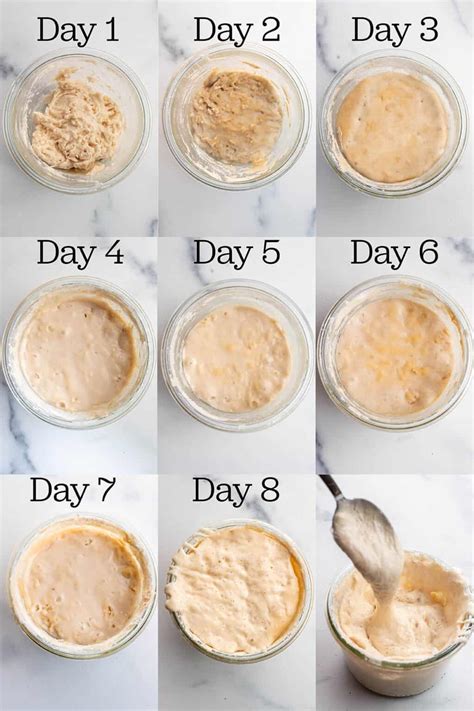 How To Make A Sourdough Starter Dirt And Dough