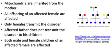 Lecture 16 Unexpected Events In Inheritance Flashcards Quizlet