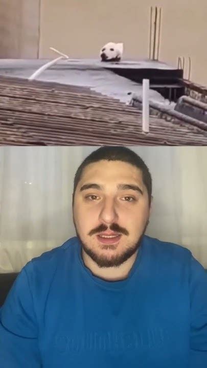 თუ ძაღლი დაინახე სამკურნალო ხარ 😯😯 გამოიწერეთარხი Youtube