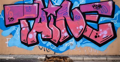 개 개 휴식 개의 거리 분위기 거리 사진 거리 스타일 거리 예술 거리 장면 거리 풍경 거리의 미학 건축 공공 예술 공공 장소 그래피티 그래피티