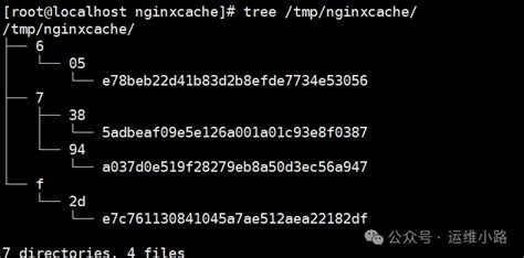 Web服务器 Nginx缓存服务器 Csdn博客 Web服务器 Nginx缓存服务器 Csdn博客