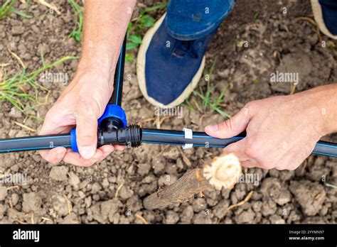 Fixing And Connecting Pipes Using A Fitting Man Installs An Automatic Drip Irrigation System