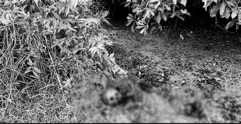 អ្នកភូមិនាំគ្នាបូមទឹកចាប់ត្រីក្នុងប្រឡាយបែរជាប្រទះ ឃើញគ្រោងឆ្អឹងសាកសពមនុស្សកប់ក្នុងភក់