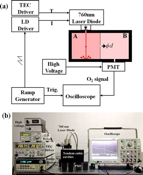 Representations Of The Oxygen Absorption Cross Section And Download Scientific Diagram