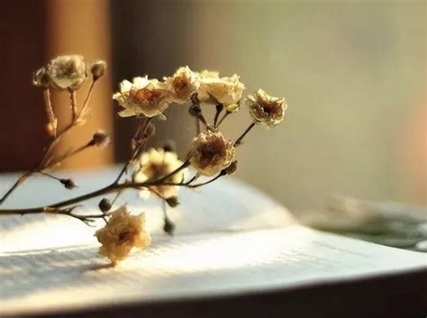 前端面试题之vue及答案 知乎