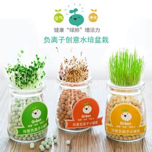 追云草花语 追云草 心形草花语 第2页 大山谷图库