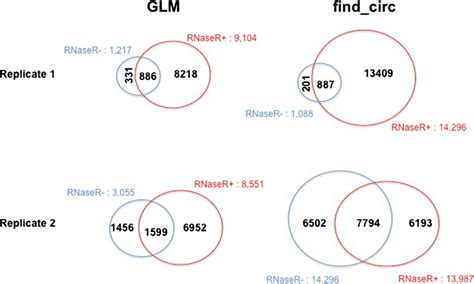 Statistical Algorithm Improves The Sensitivity Of Circular Rna