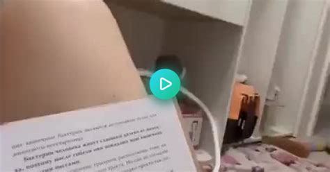 Illiterate Peasants Are Easier To Rule Album On Imgur