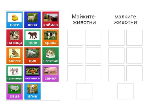 домашни животни майките и техните малки Group Sort