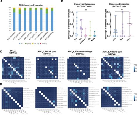 Tcr Clonotype Expansion In Cc Three Immune Reaction Patterns A Bar Download Scientific