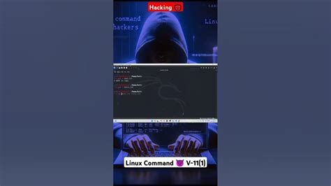 linux basics for hackers tutorial v 11 1 for beginners learn myethicaltrail