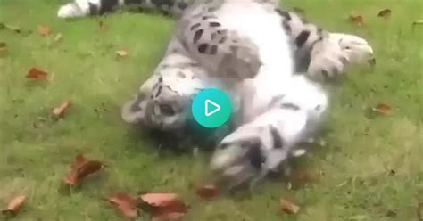 Morning Stretch… Album On Imgur