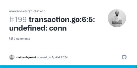 Transaction Go 6 5 Undefined Conn Issue 199 Marcboeker Go Duckdb GitHub