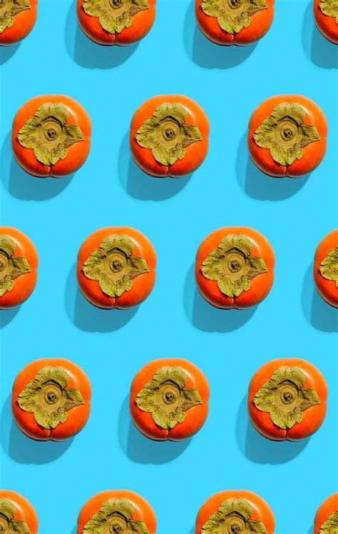 Guide Creating And Computing Vectors Using Python By Ayo Akinkugbe Apr 2024 Python In