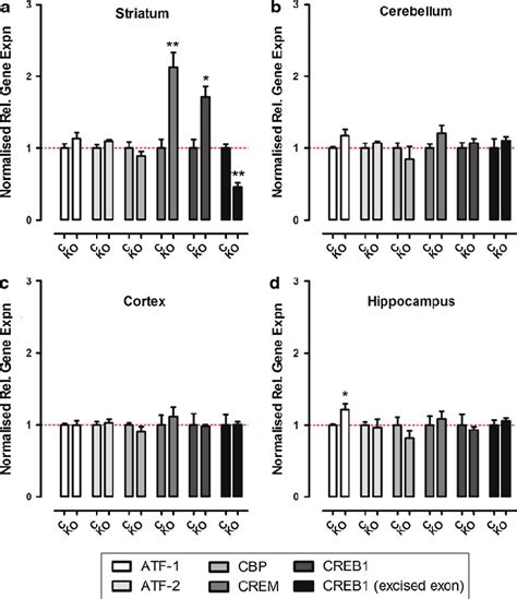 Normalised Relative Expression Of Mrna Transcript A The Striatum