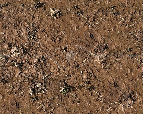 Mud Texture Seamless 12896