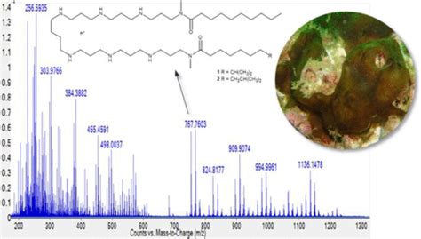 Journal Of Natural Products Vol 86 No 3
