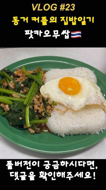 야매 팟카우무쌉 레시피 🇹🇭 태국음식 간단요리 자취요리 레시피 자취브이로그 Bangkok 집밥 Youtube