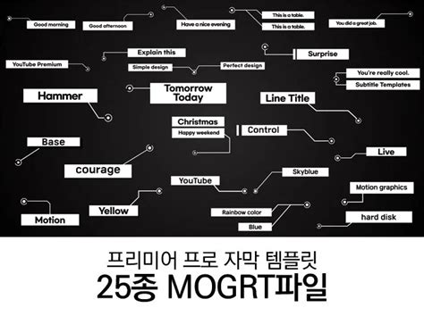영상 프리미어 프로 자막 템플릿mogrt 크몽