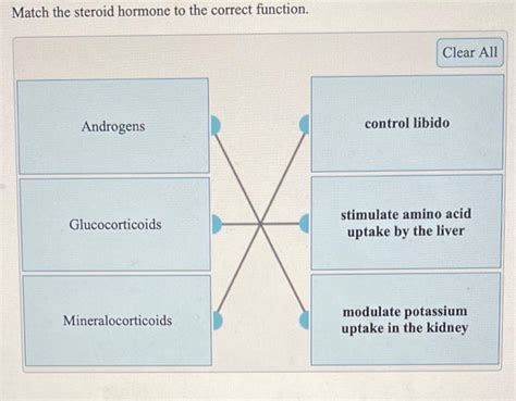 solved match the steroid hormone to the correct function