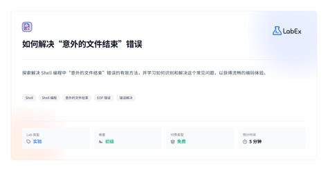 如何解决“意外的文件结束”错误 Labex