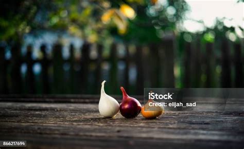 나무 테이블에 서로 다른 색상의 하는 3 개의 양파 흰 양파 양파의 붉은 색과 오렌지색입니다 0명에 대한 스톡 사진 및 기타