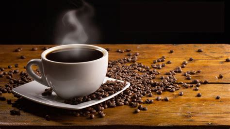 Зодии описателни фрази и факти КОЗИРОГ Ще те разкарат от живота си незабавно ако