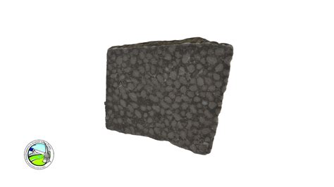 Boundstone A Coralli 3d Model By Dipartimento Di Scienze Della Terra Unito Dstunito