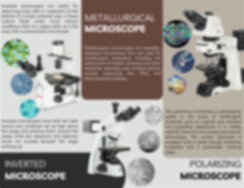 Solution Types Of Microscope Brochure Studypool