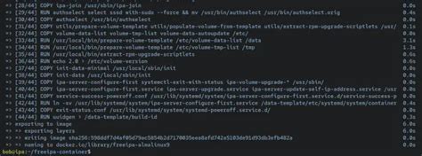 How To Install Freeipa Server With Docker On Debian 12